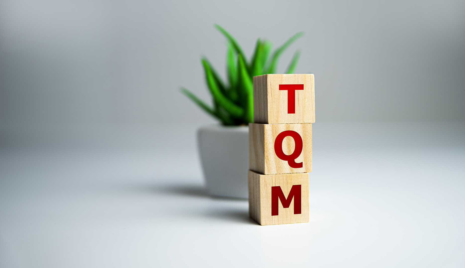 The Ultimate Guide to Total Quality Management (TQM) | Wrike | 时远致